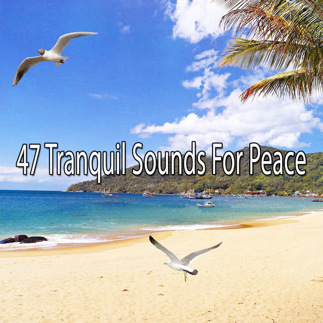 47 Tranquil Sounds For Peace - Album by Brain Study Music Guys | Spotify