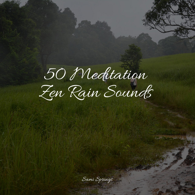 50 Meditation Zen Rain Sounds - Album by Relaxing Music | Spotify