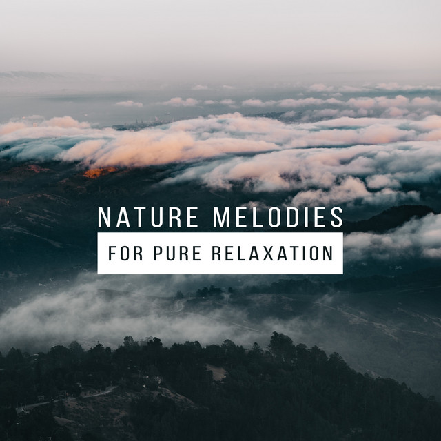 Nature Melodies for Pure Relaxation - Album by Sounds Of Nature | Spotify