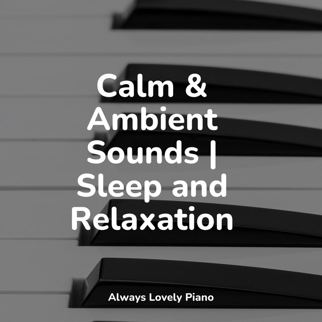 Calm & Ambient Sounds | Sleep and Relaxation - Album by Simply Piano ...