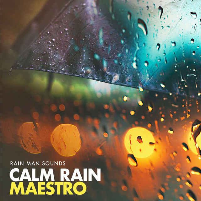The Market - song by Rain Man Sounds | Spotify