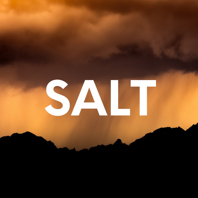 Salt - song and lyrics by Bitceptus | Spotify