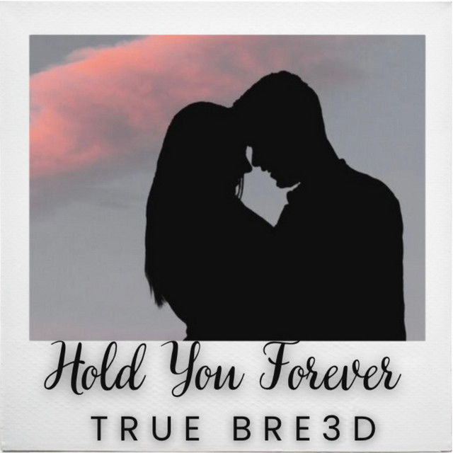 Hold You Forever - song and lyrics by True Breed | Spotify