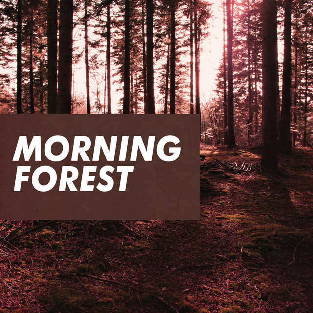 Forest Brook - song and lyrics by Forest Sounds | Spotify