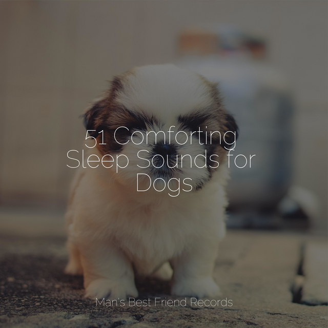 BPM and key for songs by Music for Dog's Ear | Tempo for Music for Dog ...