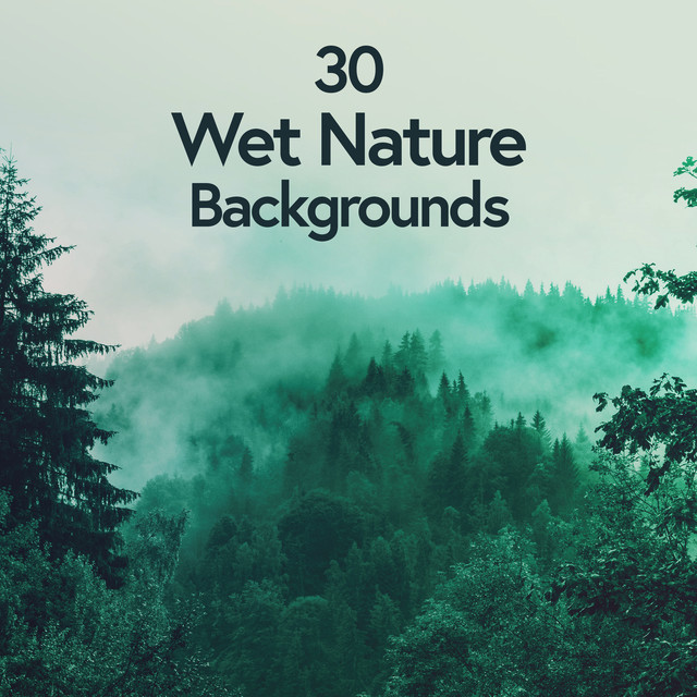 30 Wet Nature Backgrounds - Album by Nature & Sounds Backgrounds | Spotify