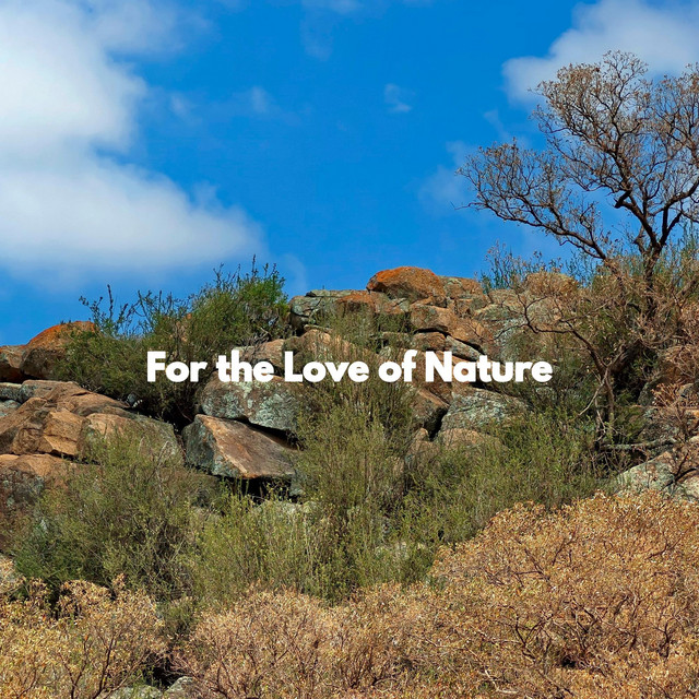 For the Love of Nature - Album by Chilled Morning Music | Spotify