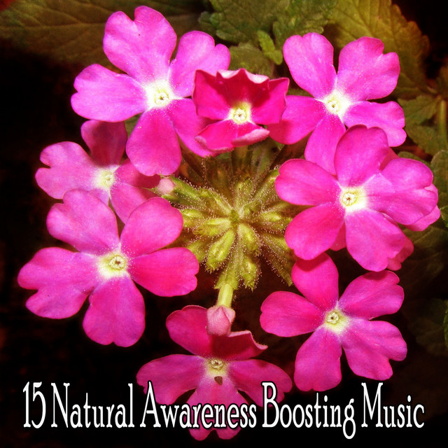 15 Natural Awareness Boosting Music - Album by Sounds of Nature ...