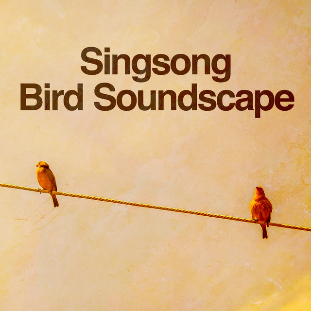 Singsong Bird Soundscape ! ! ! ! - Album by Singing Birds | Spotify