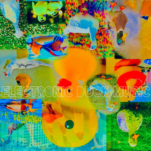 Electronic Duck Music – Álbum de Twin Oaks Motel | Spotify
