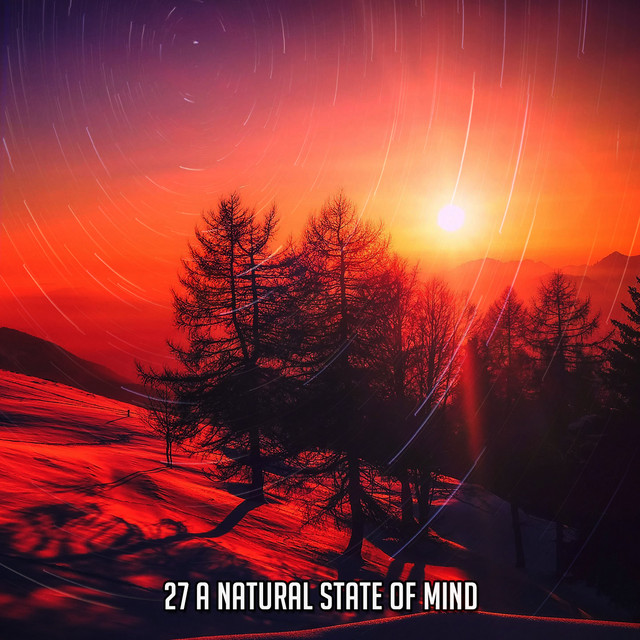 27 A Natural State Of Mind - Album by Nature Sounds Artists | Spotify