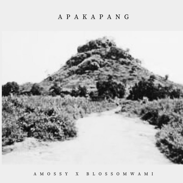 APAKAPANG - Single by AMOSSY | Spotify
