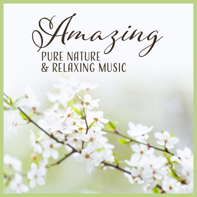 Health and Wellness - song and lyrics by Calm Nature Oasis | Spotify