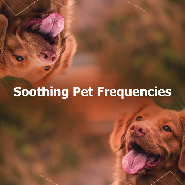 Soothing Pet Frequencies - Album by Music for Pets Library | Spotify