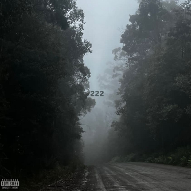 222 - song and lyrics by HillyThePoet, MOEZA | Spotify