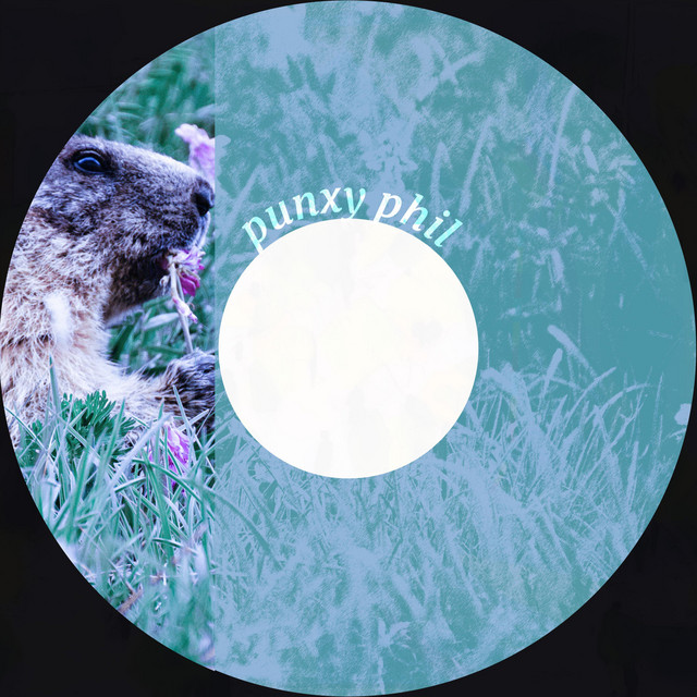 Punxy Phil - Single by Anaether | Spotify