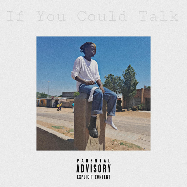 If You Could Talk - Album by 2$hayy | Spotify