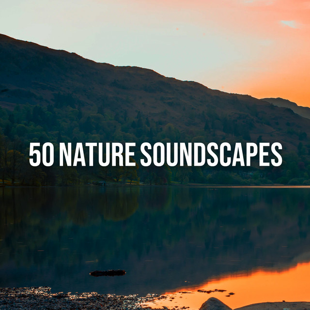 50 Nature Soundscapes - Album by Kings of Nature | Spotify
