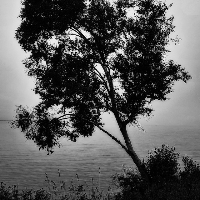 Kevin Puumala | Spotify