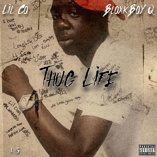 Thug Life - Single by Lil Co | Spotify