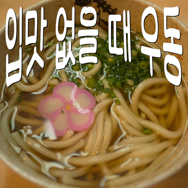Udon when you don't have an appetite - Inst - song by HappyPizzaBread ...