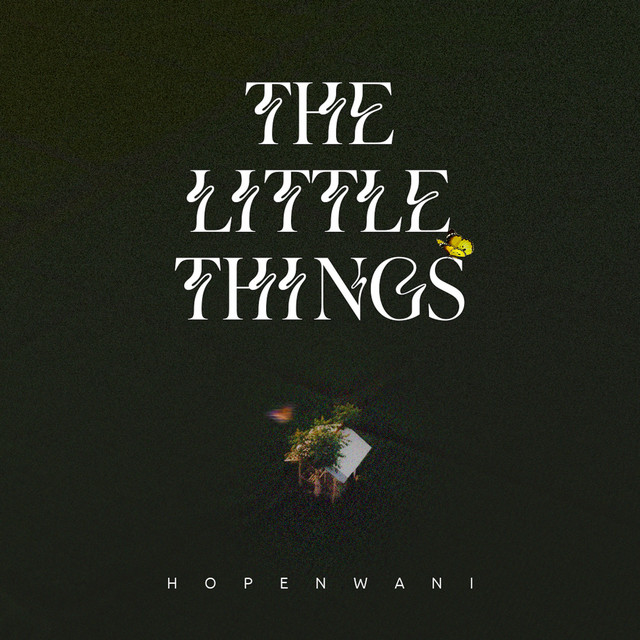 The Little Things - song and lyrics by Hope Nwani | Spotify