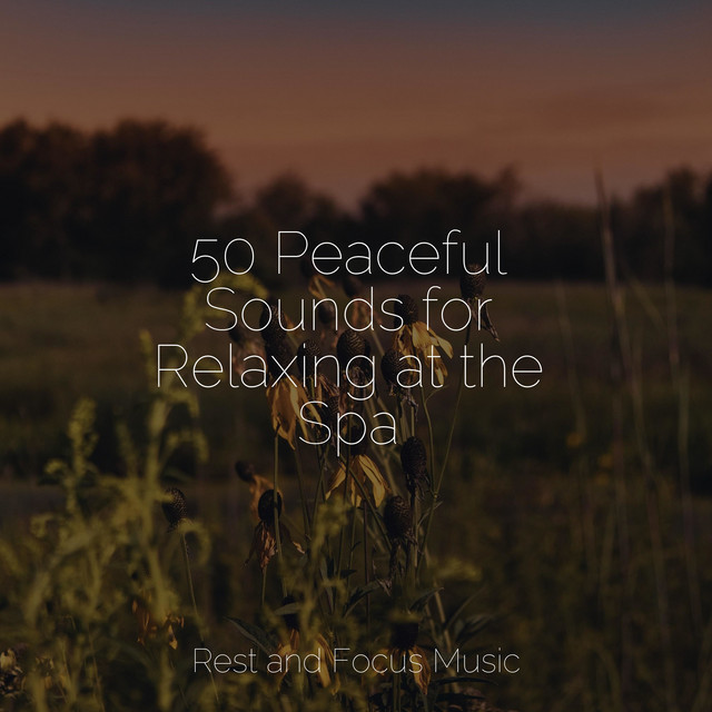 50 Peaceful Sounds for Relaxing at the Spa - Album by Natureza Musica ...