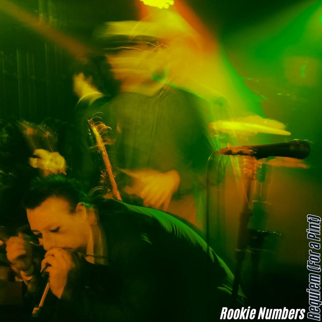 Requiem (For a Pint) - song by Rookie Numbers | Spotify