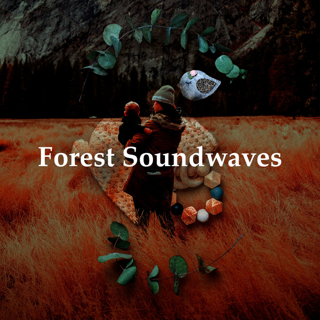 Forest Soundwaves - Album by Forest | Spotify