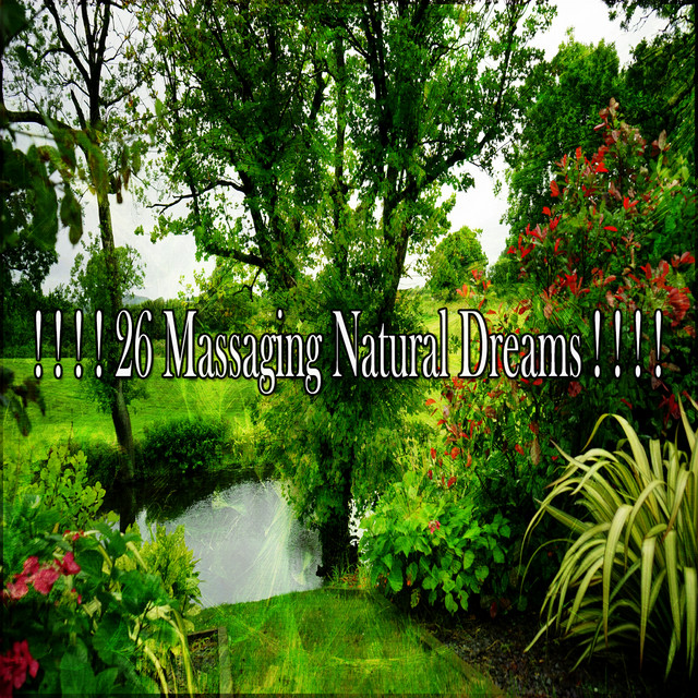 26 Massaging Natural Dreams ! ! ! ! - Album by Pro Sounds of Nature ...