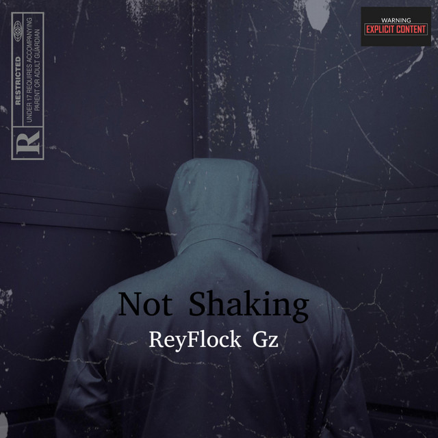 Not Shaking - song and lyrics by ReyFlock Gz, Mula Gzz, Bory 300 ...