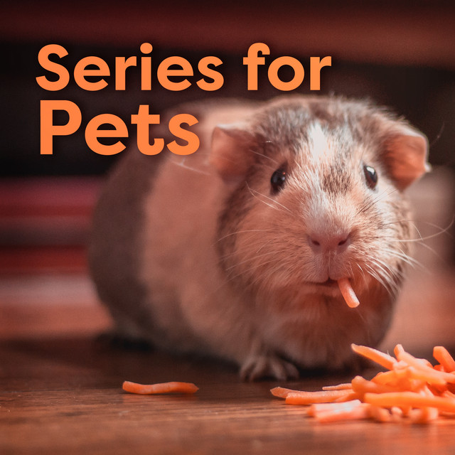 series-for-pets-album-by-music-for-pets-library-spotify