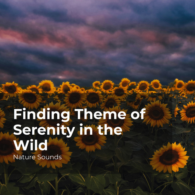 Finding Theme of Serenity in the Wild - Album by Nature Sounds | Spotify