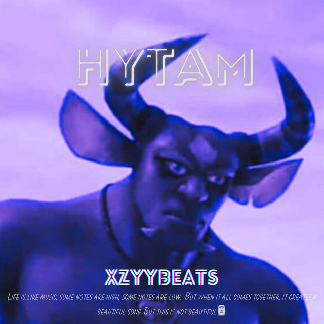 HYTAM - Single by XzyyBeats | Spotify