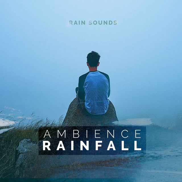 Ambience: Rainfall - Album by Rain Sounds | Spotify