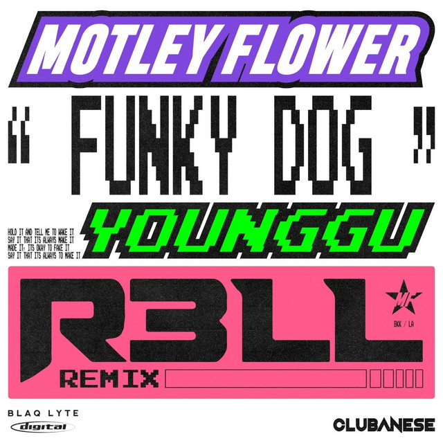 FUNKY DOG (R3LL Remix) - Single by Various Artists | Spotify