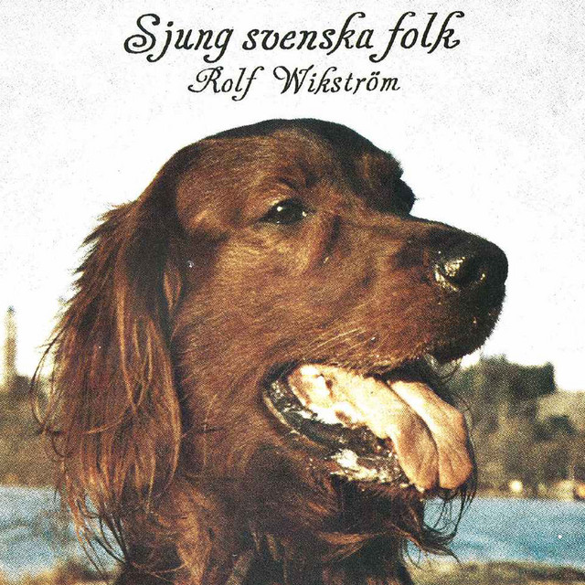 Sjung svenska folk - Album by Rolf Wikström | Spotify