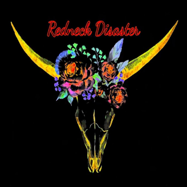 Redneck Disaster - Single by The Froghollow Band | Spotify