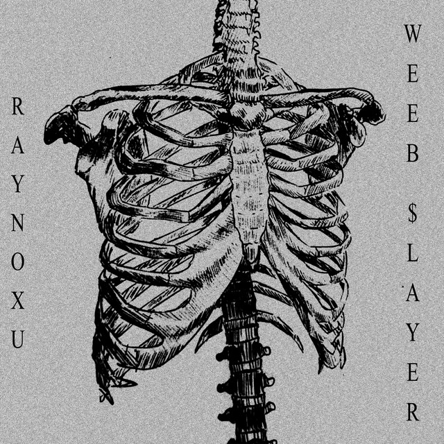 Weeb Slayer - Single by RaYnoXu | Spotify