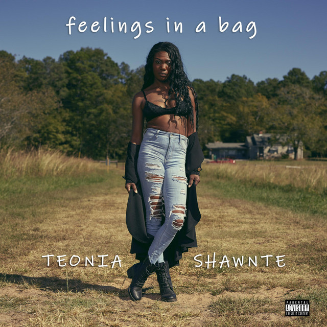 Feelings in a Bag - Single by Teonia Shawnte | Spotify