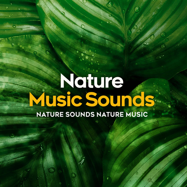 Nature Music Sounds - Album by Nature Sounds Nature Music | Spotify