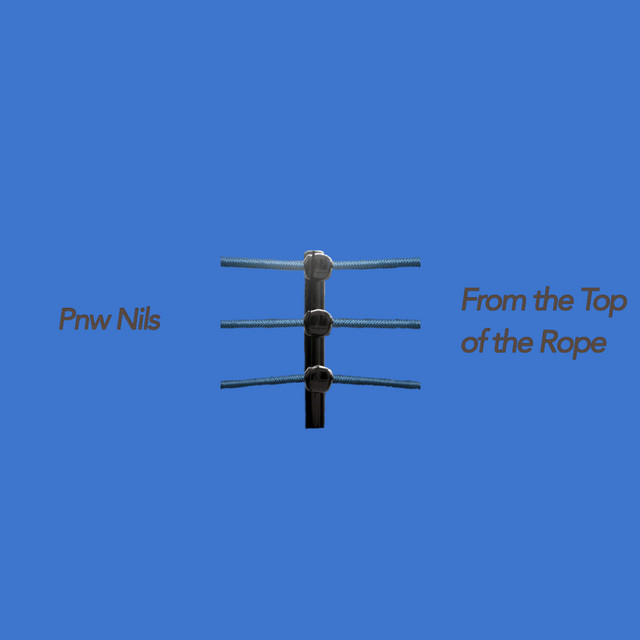 Top Rope - song and lyrics by Pnw Nils | Spotify
