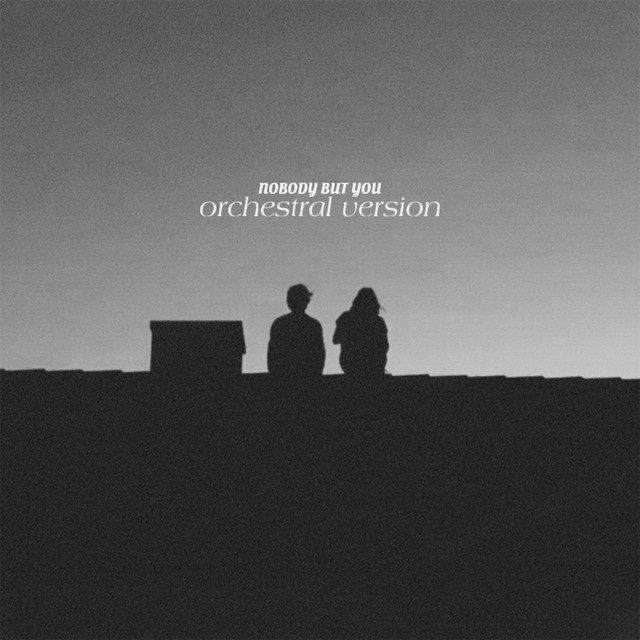 Nobody But You (Orchestra Version) - Single by Henry Zoellner | Spotify