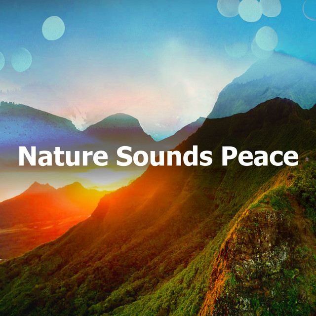 Summer Morning Nature - song and lyrics by Nature Sounds for Relaxation ...