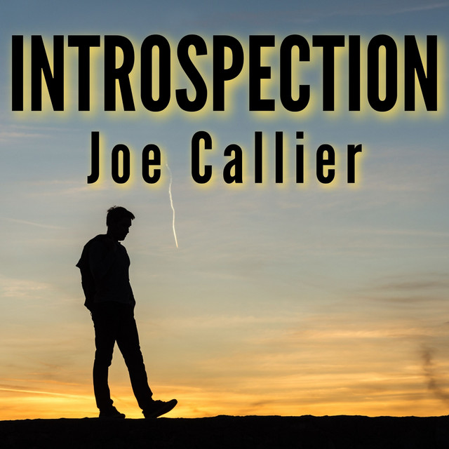 Introspection - Album by Joe Callier | Spotify