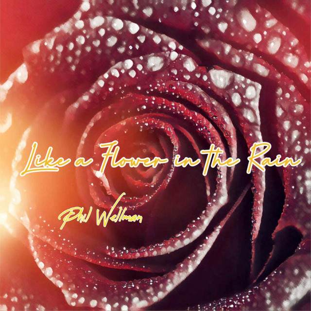 Like a Flower in the Rain - Single by Phil Wellman | Spotify