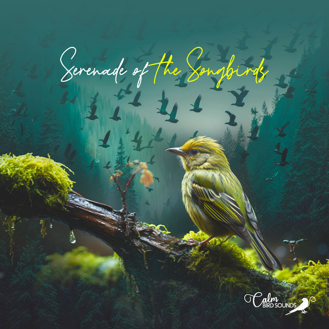 Serenade of the Songbirds - Album by Calm Bird Sounds | Spotify
