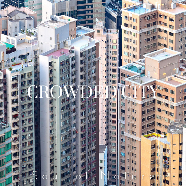 Urban Crowd - song and lyrics by SON Recordings | Spotify