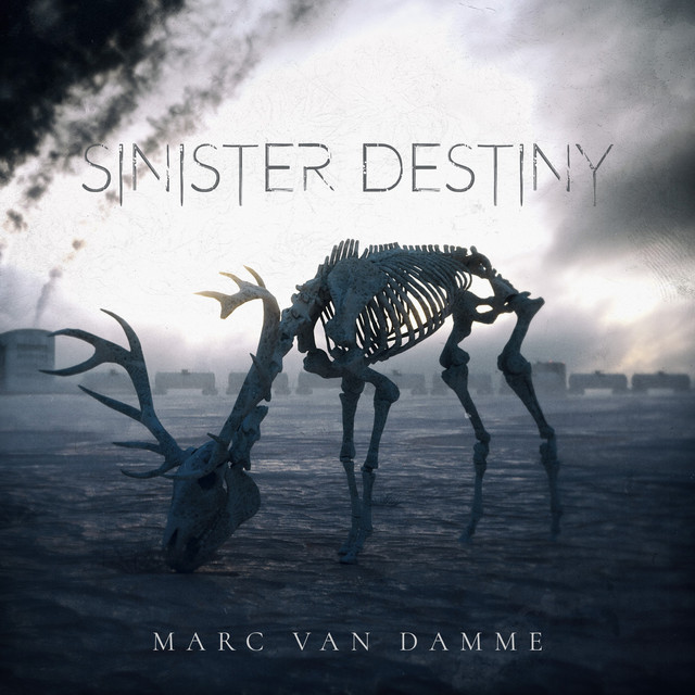 Marc VAN DAMME: Songs list, genres, analysis and similar artists - Chosic