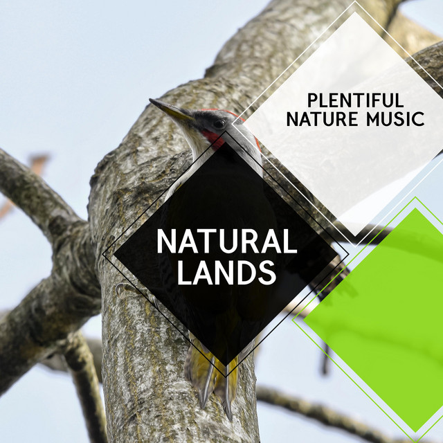 Natural Lands - Plentiful Nature Music - Album by Nature Sound Series ...